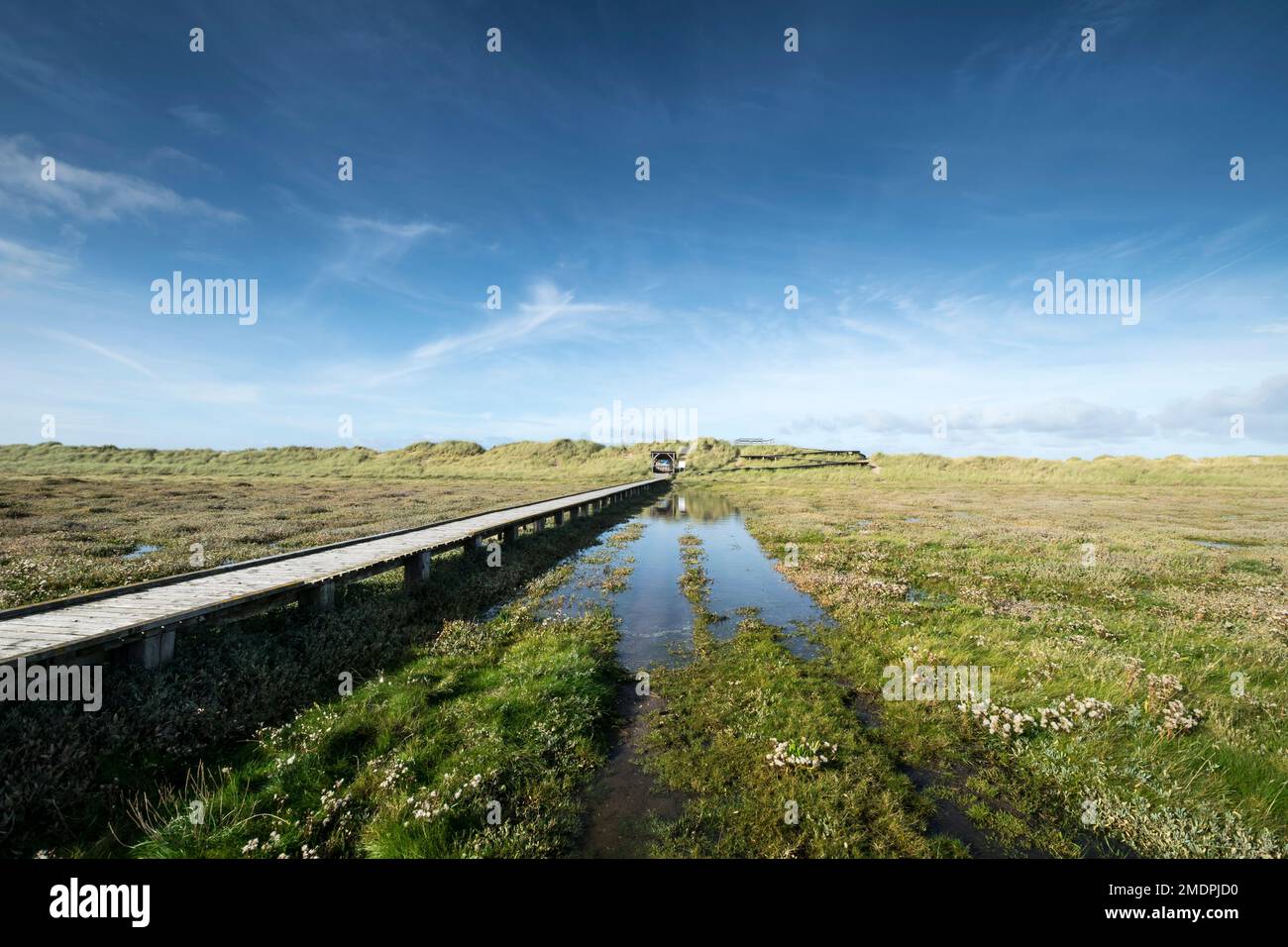Gronant Nature reserve near Prestatyn on the North Wales coast showing ...