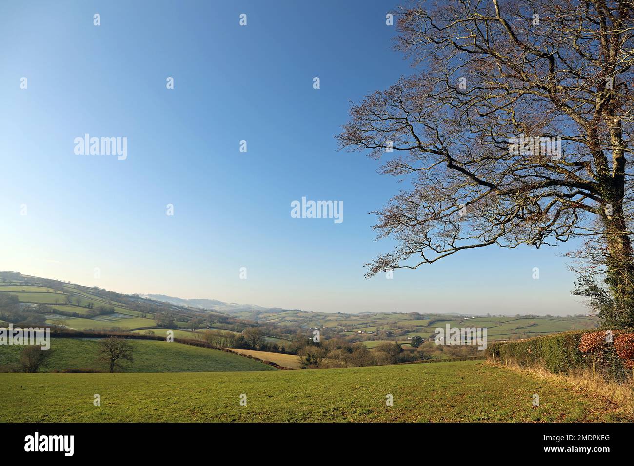 Butterleigh, Devon, UK Stock Photo - Alamy
