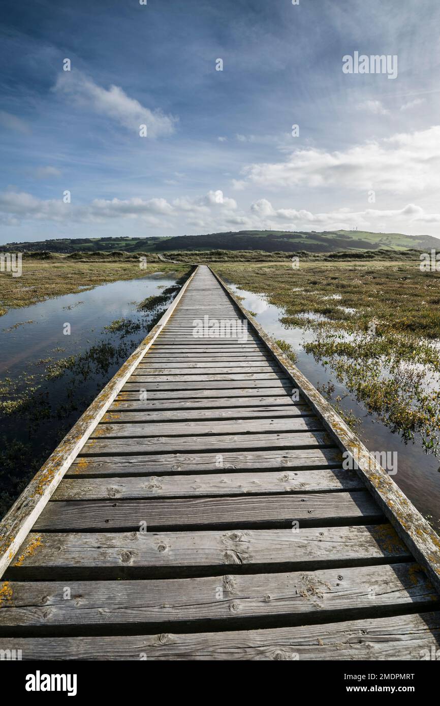 Gronant Nature reserve near Prestatyn on the North Wales coast showing ...