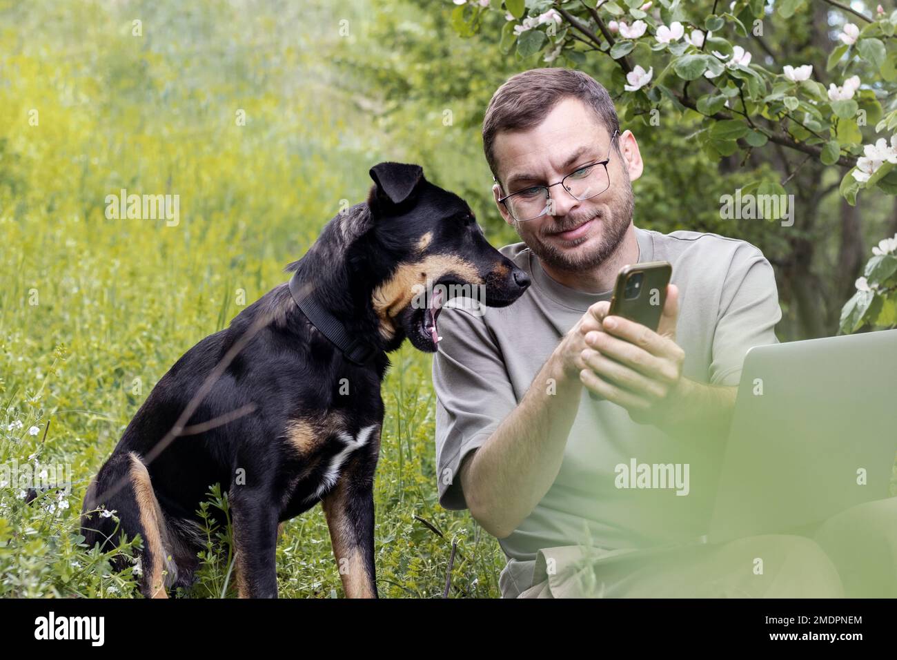 Dog looks at phone with surprised emotions with opened mouth while man ...