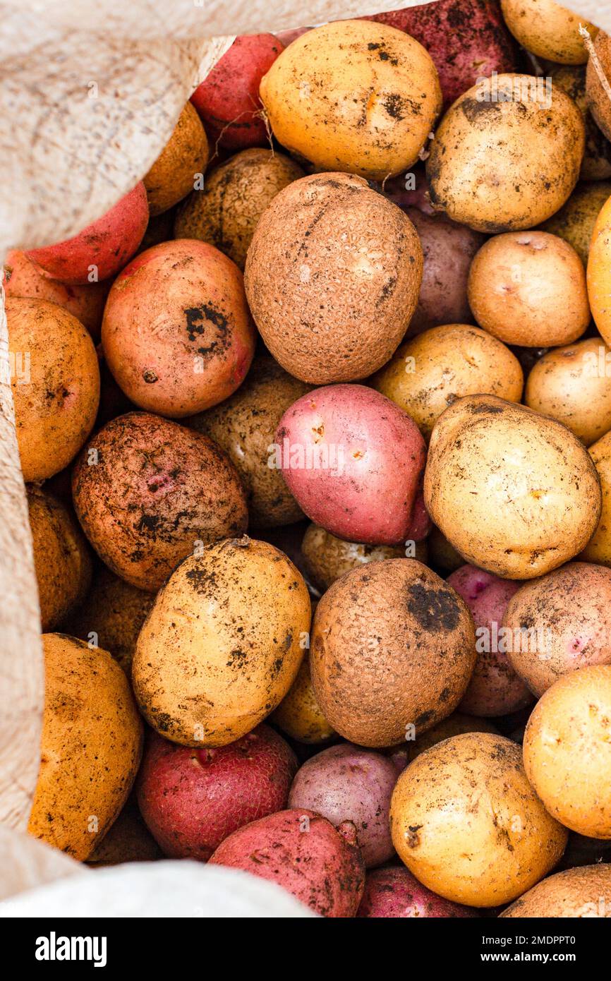 New potatoes container hi-res stock photography and images - Alamy