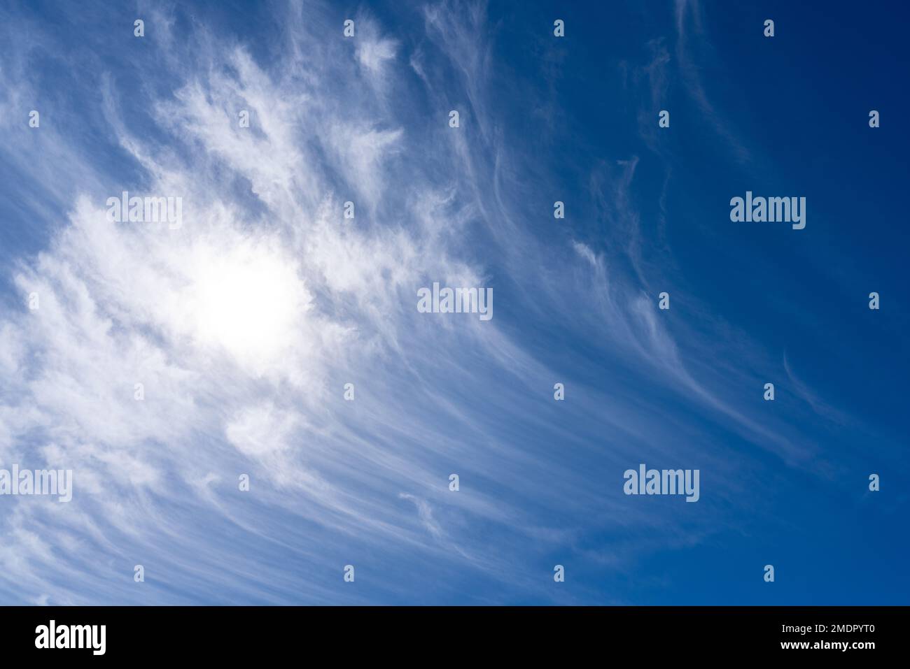 Cirrus intortus hi-res stock photography and images - Alamy