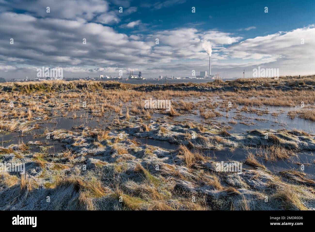 Wetlands on the wadden sea island Fanoe fanø with Esbjerg industrial ...