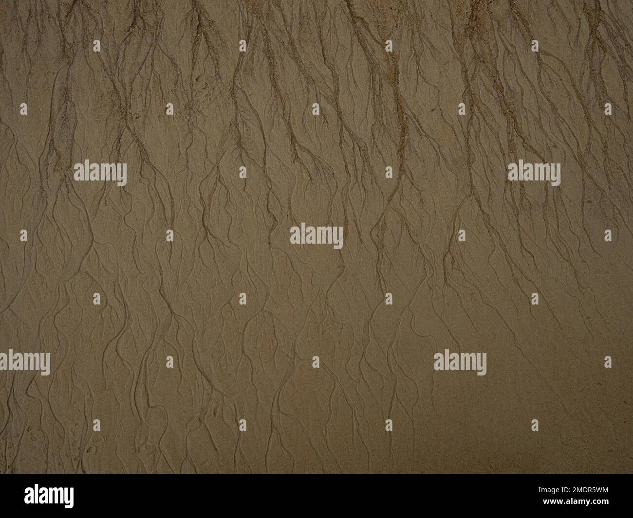 Top down close up macro of braided intertwined meandering water stream ...