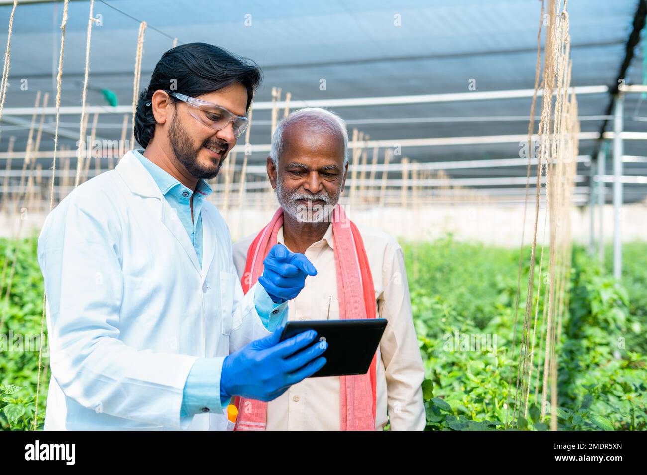 happy Agro scientist explaining crop growth from digital tablet to ...