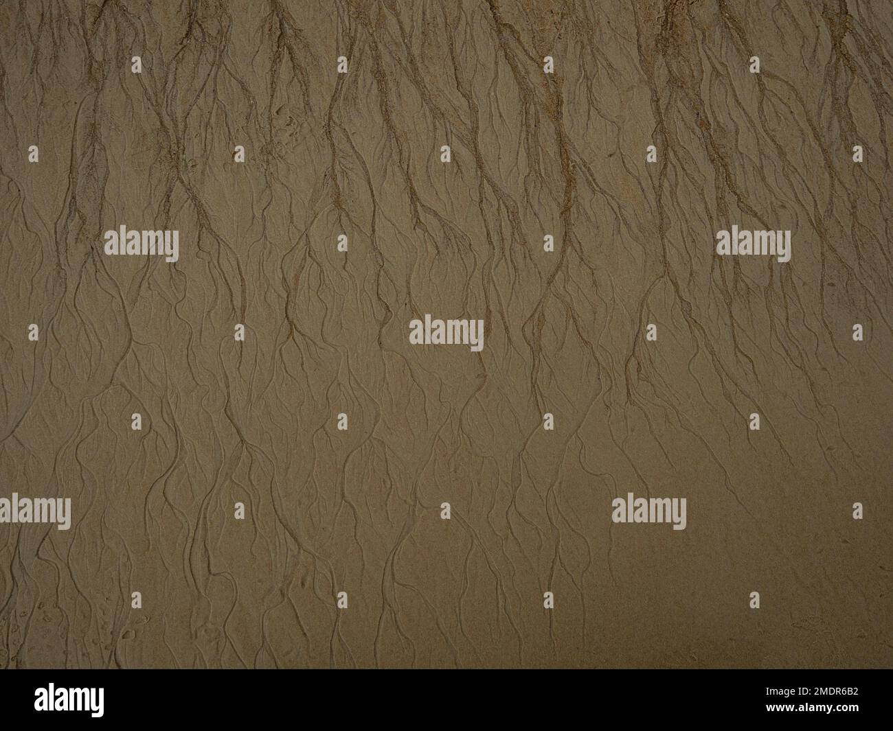 Top down close up macro of braided intertwined meandering water stream ...