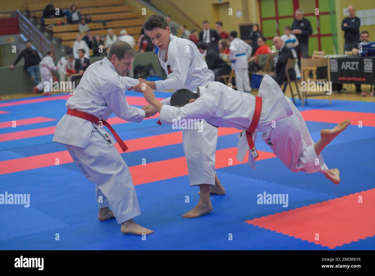 Kata Team Nippon Berlin Steglitz, Berlin Karate Championships 2020 on ...