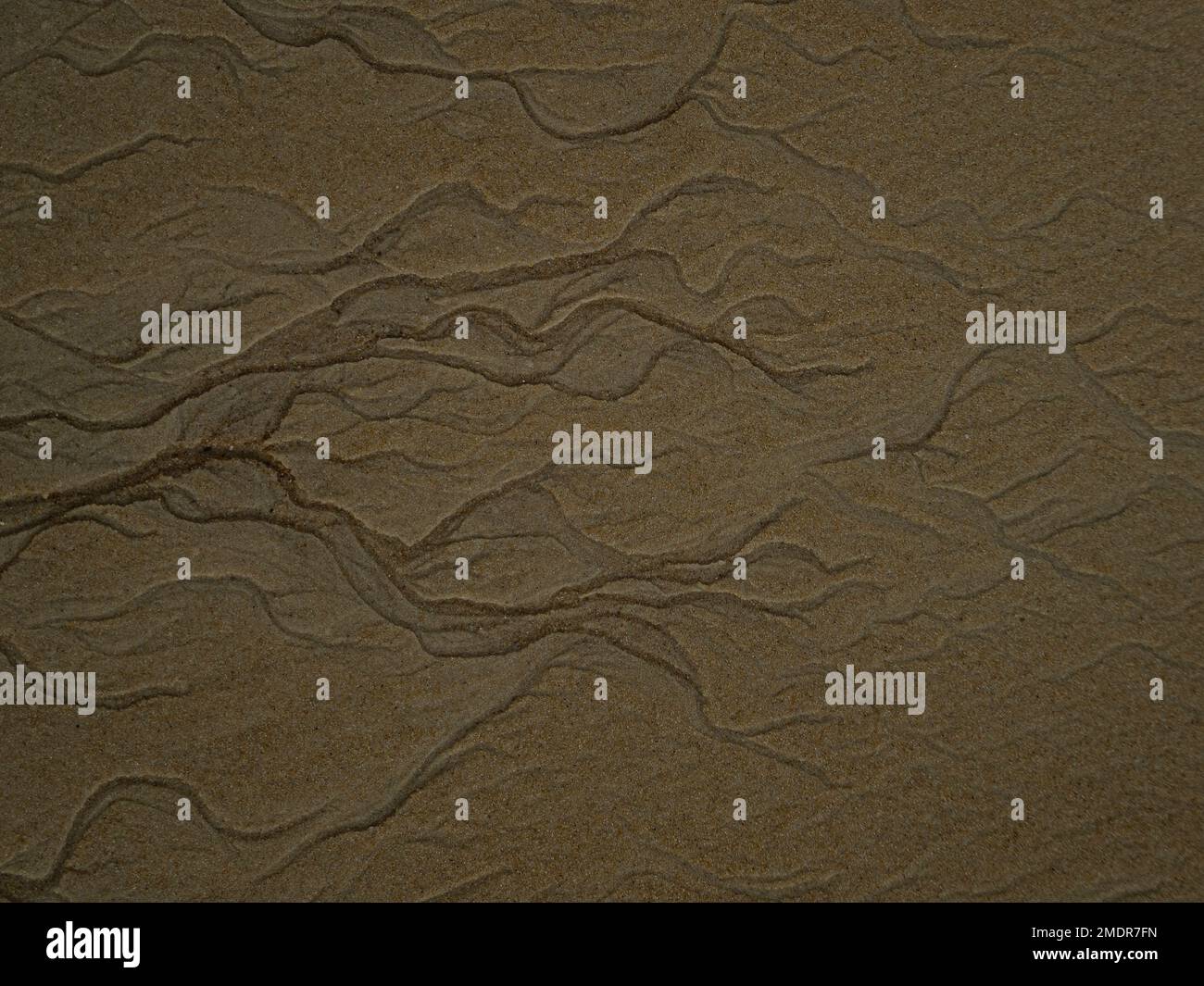 Top down close up macro of braided intertwined meandering water stream ...