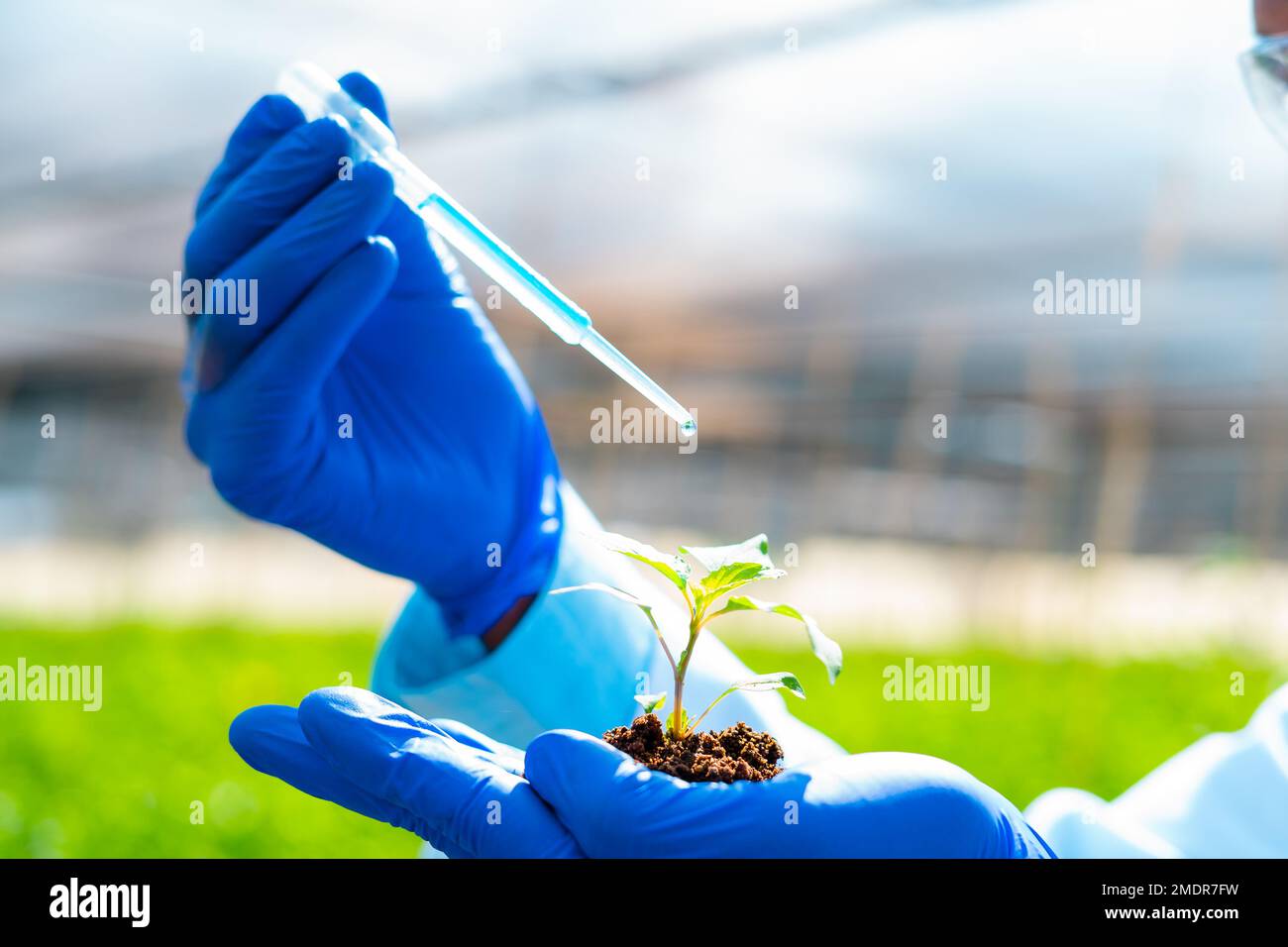 Genetics testing hi-res stock photography and images - Alamy