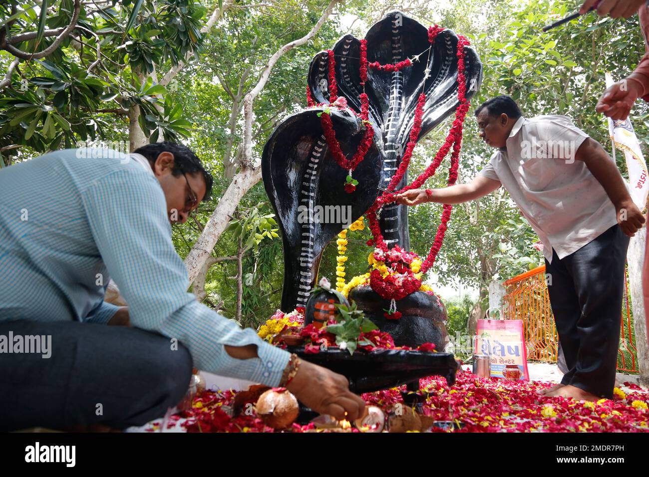 Hindu devotees offer prayers at a snake temple during Nag Panchami ...