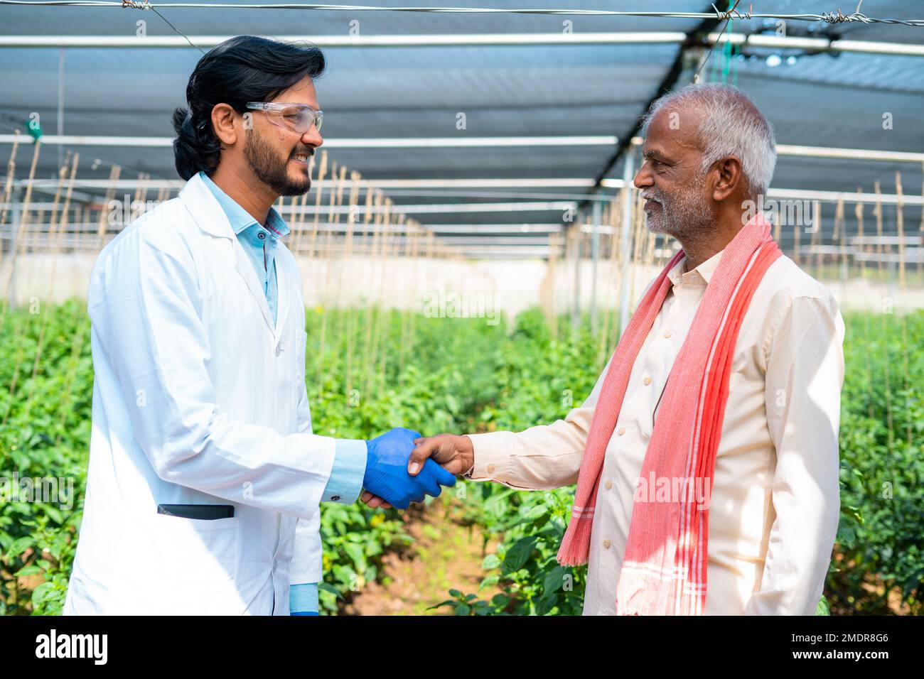 Agro industry agro industry hi-res stock photography and images - Alamy