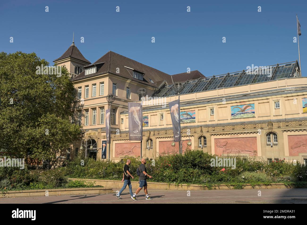Aquarium, Olof-palm tree-Platz, Tiergarten, Mitte, Berlin, Germany ...