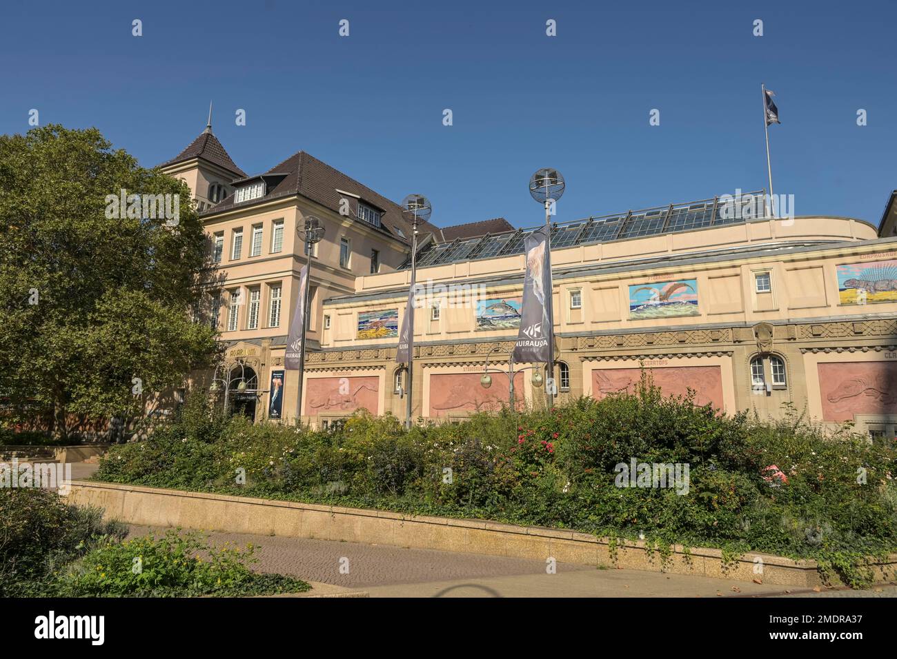 Aquarium, Olof-palm tree-Platz, Tiergarten, Mitte, Berlin, Germany ...