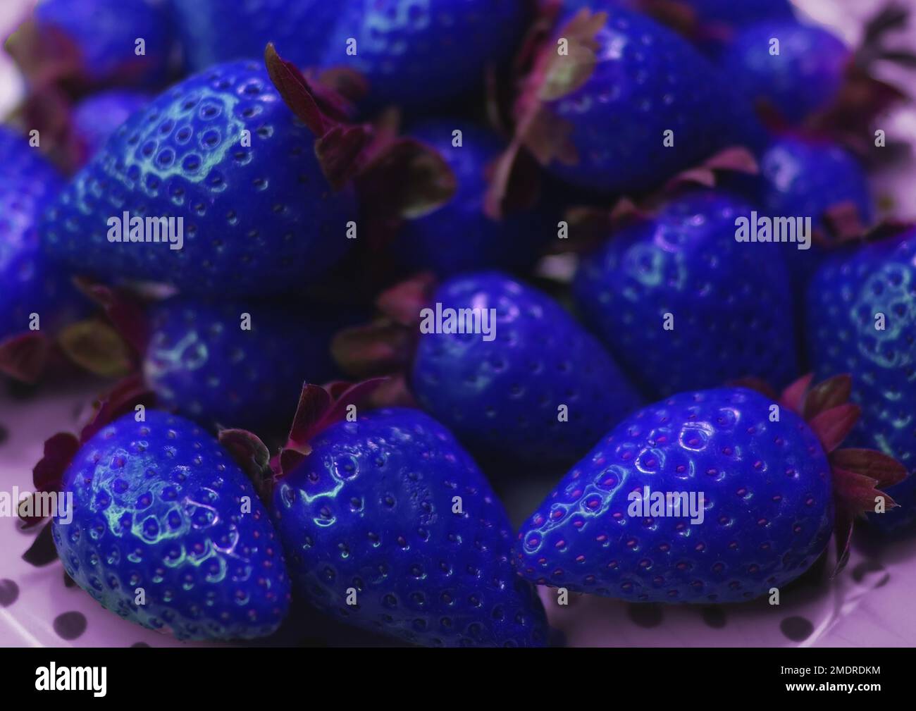 Blue Strawberry Real