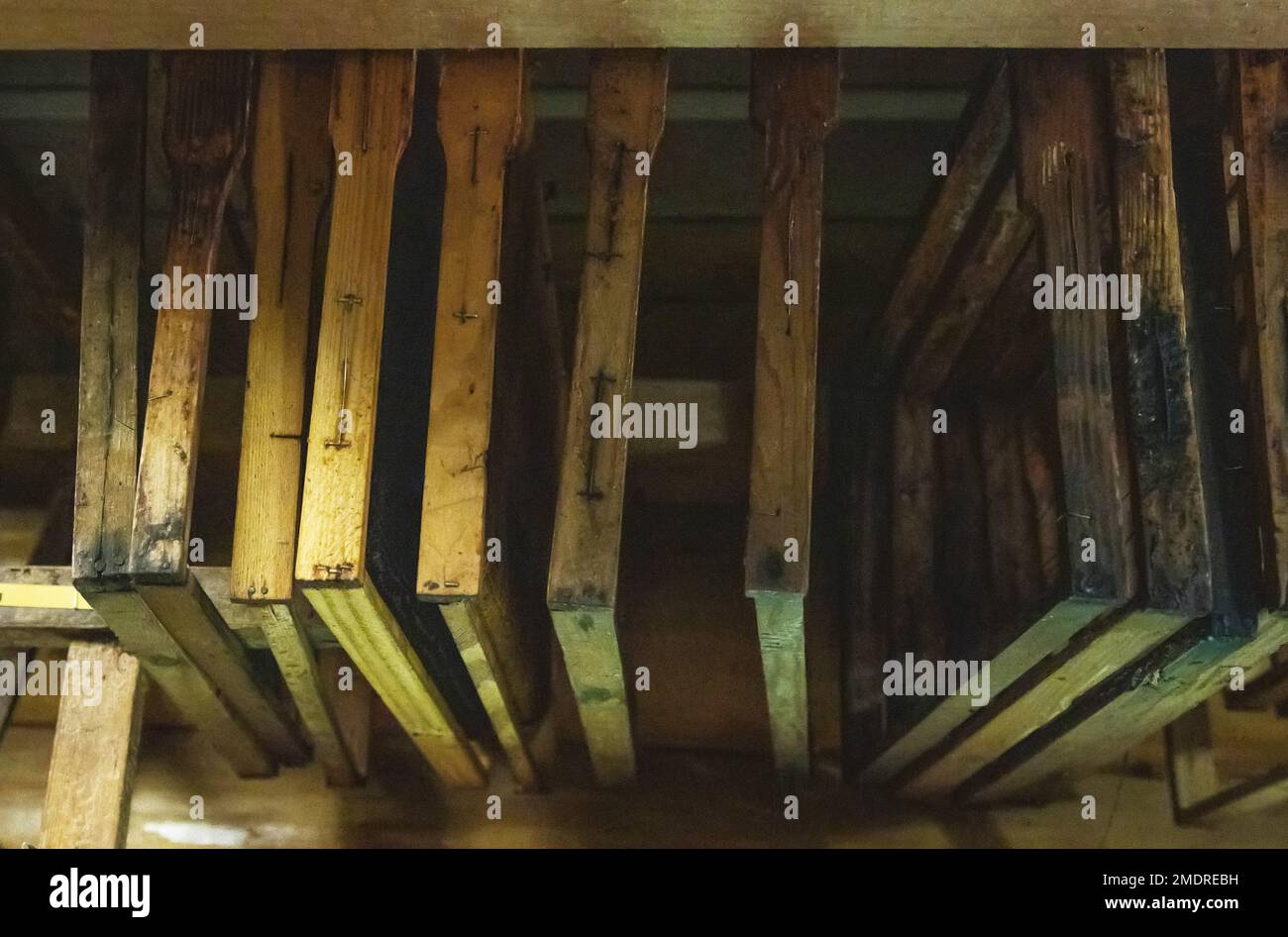 Bee frames with sealed combs and honey hang in the shed. Breeding bees ...