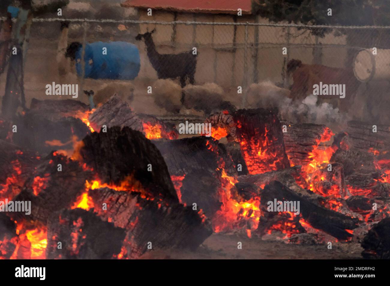 Animals stand near a fence as the South Fire burns at a farm in Lytle ...