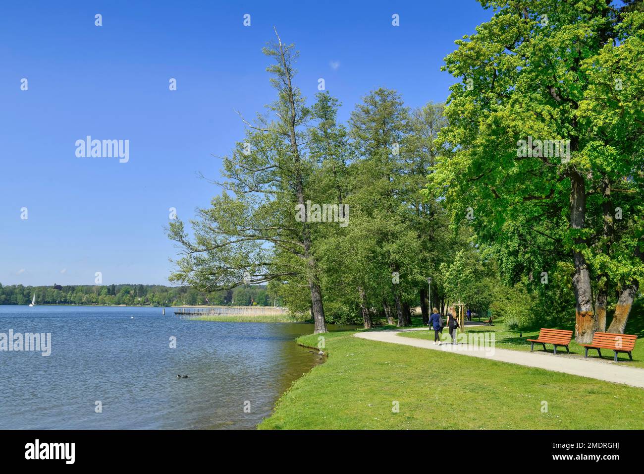 Spa garden, Ludwig-Lesser-Promenade, Scharmuetzelsee, Bad Saarow ...