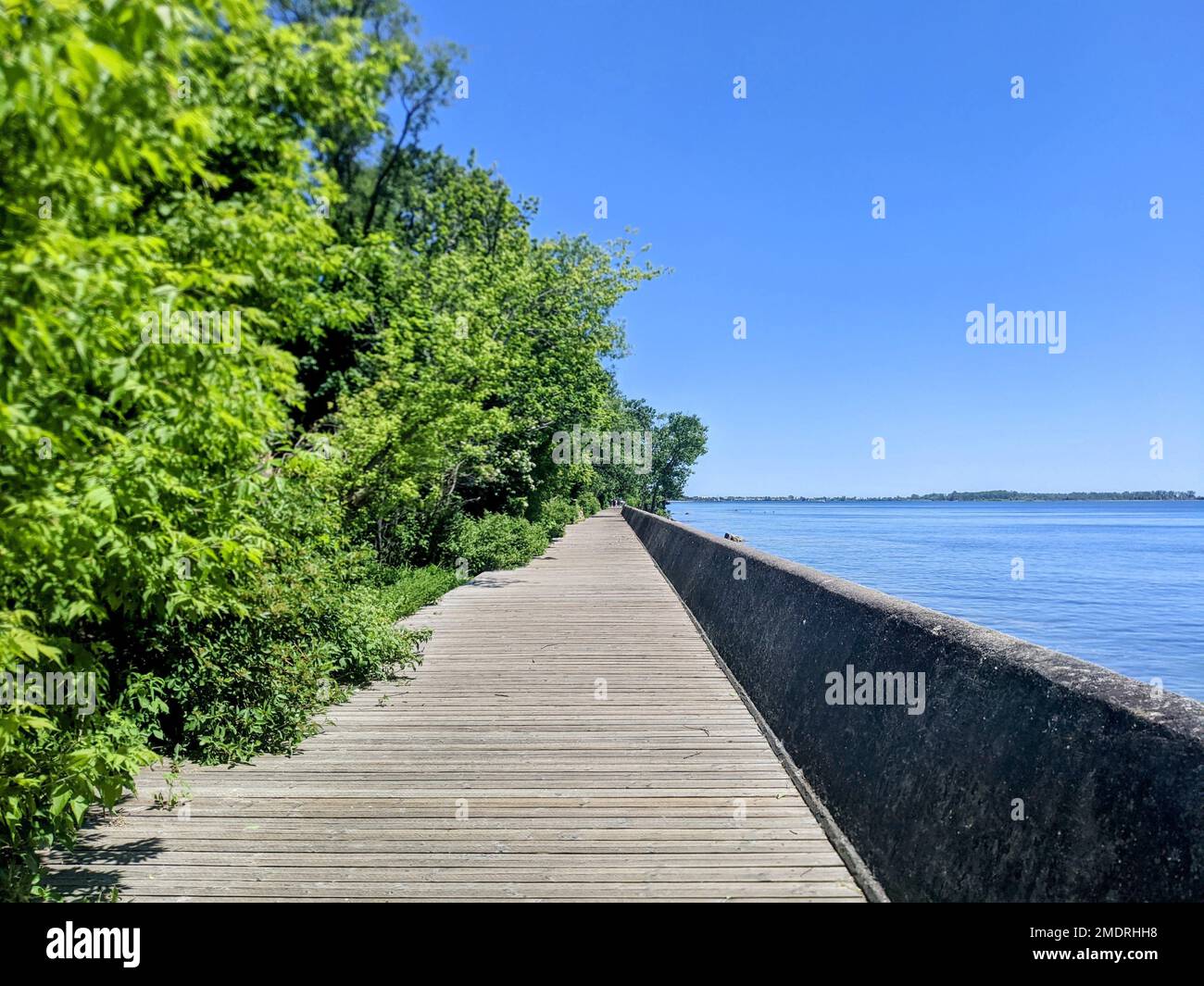The empty wooden footpath with lush green vegetation. Toronto, Canada ...