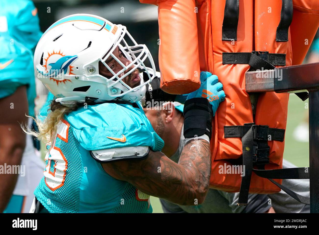 Miami Dolphins linebacker Duke Riley does drills during NFL football ...