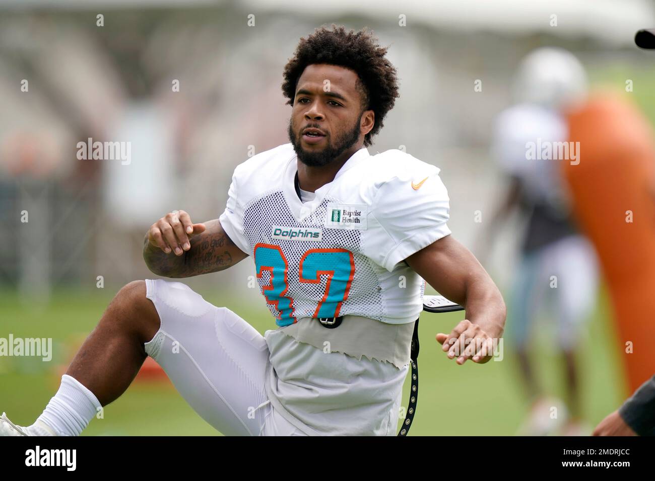 Miami Dolphins running back Myles Gaskin (37) loosens up during NFL ...