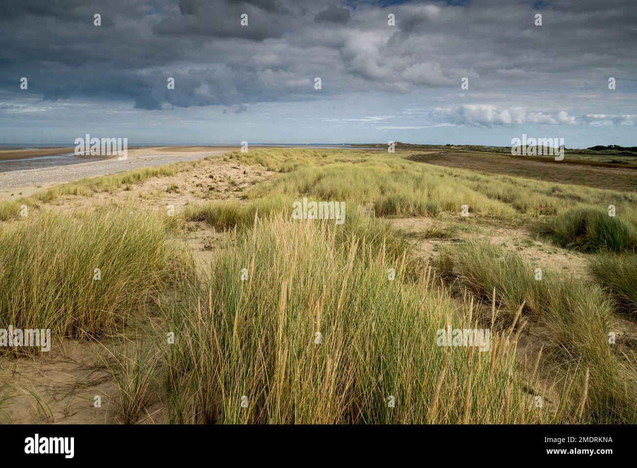 Gronant nature reserve hi-res stock photography and images - Alamy