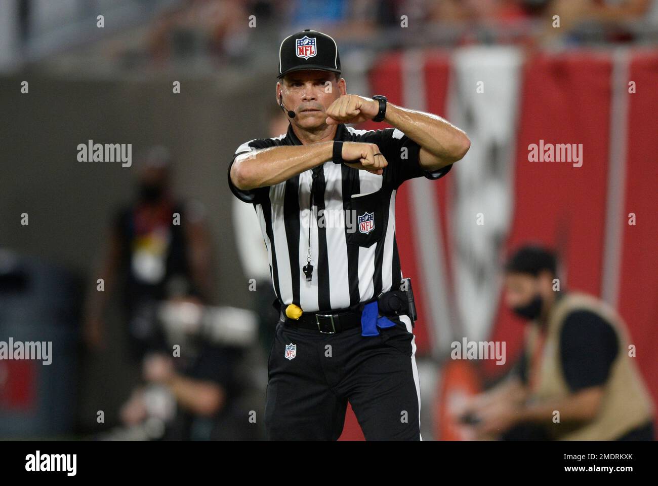 NFL back judge Steve Patrick (17) during the first half of an NFL ...