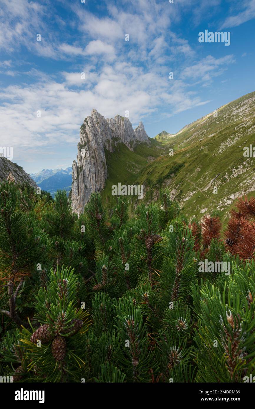 spectacular mountain formations of switzerland Stock Photo - Alamy