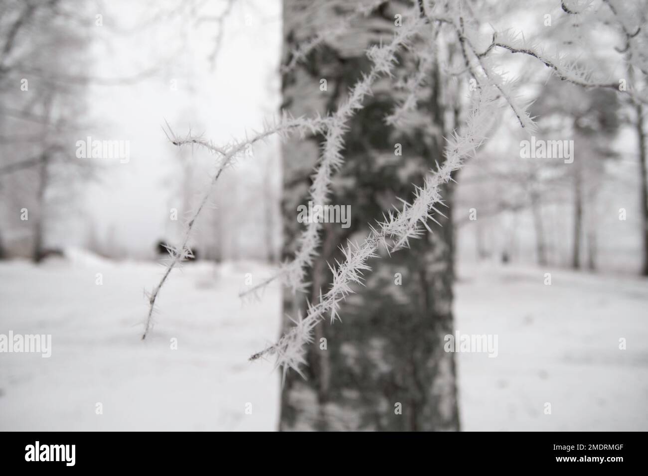 Photoshoot at an old factory, Graffiti art walls, old industrial ...