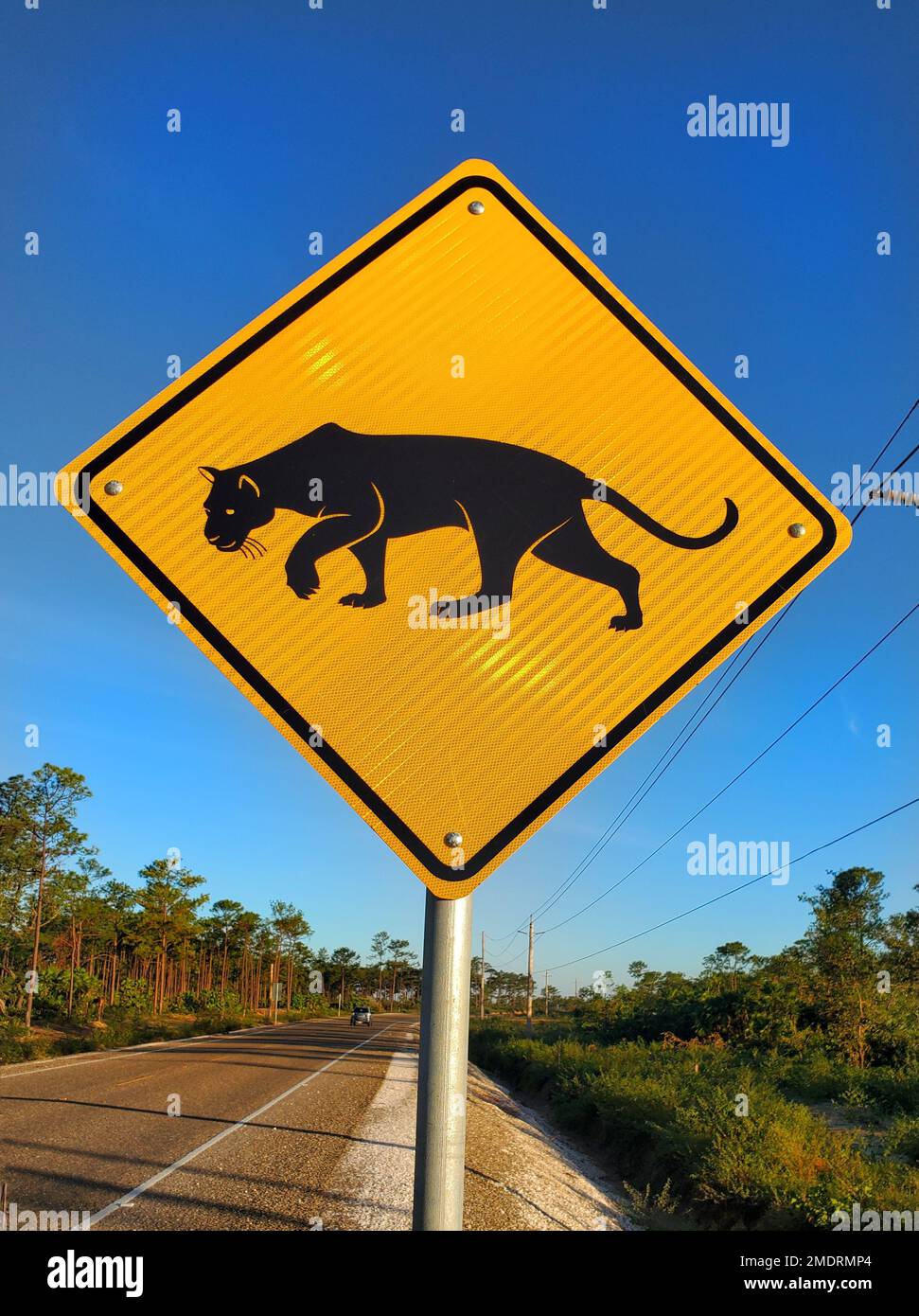 A vertical closeup shot of a wild animal warning sign on the side of a ...