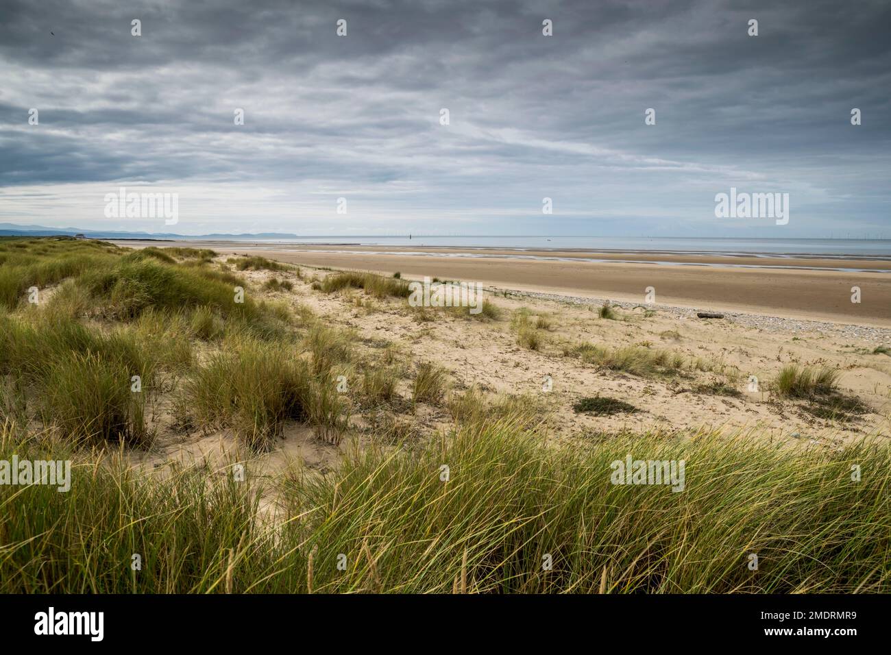 Gronant Nature reserve near Prestatyn on the North Wales coast Stock ...