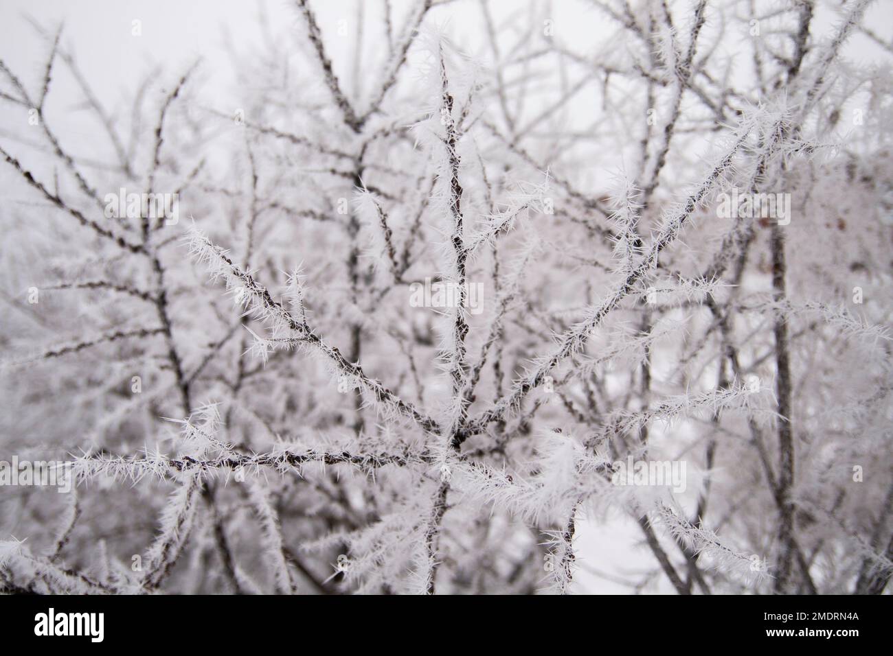 Photoshoot at an old factory, Graffiti art walls, old industrial ...