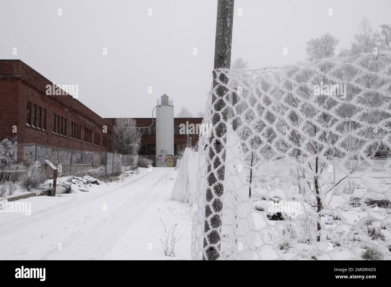 Photoshoot at an old factory, Graffiti art walls, old industrial ...