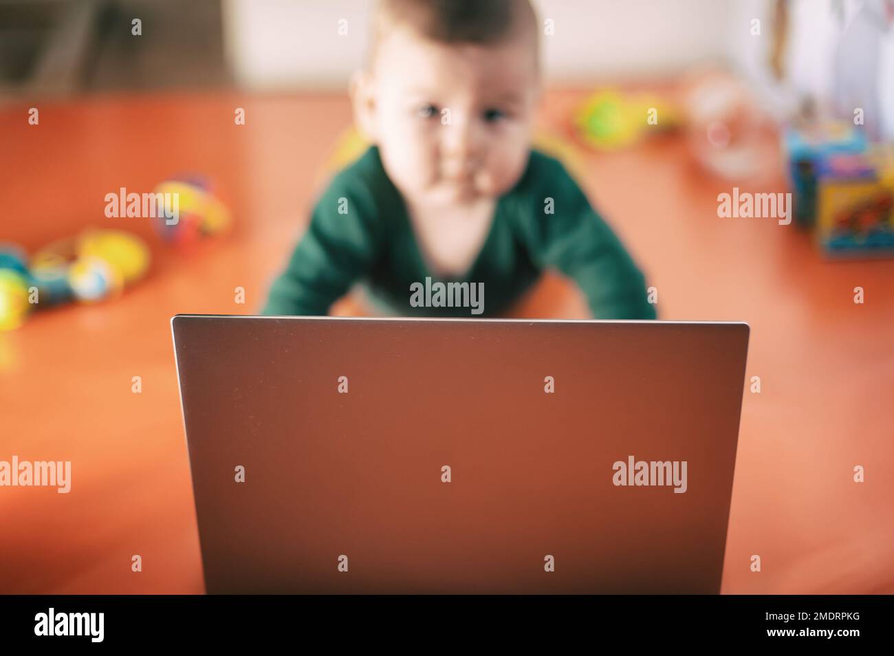 Portrait of baby boy using a laptop computer at his business office ...