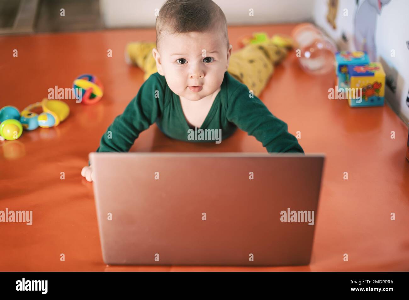 Portrait of baby boy using a laptop computer at his business office ...