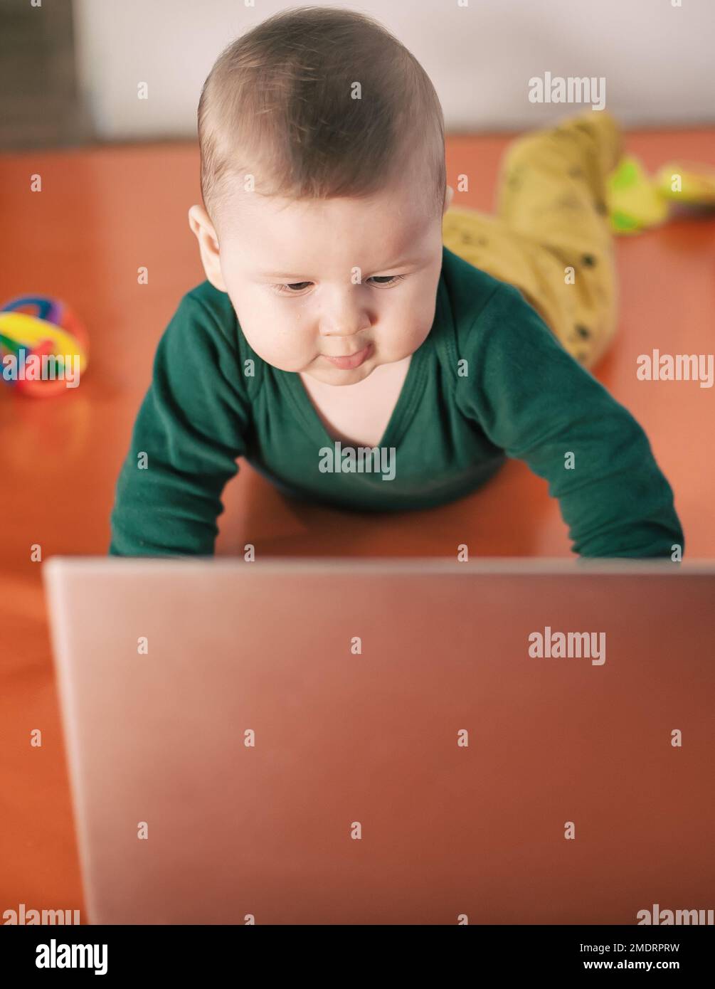 Portrait of baby boy using a laptop computer at his business office ...