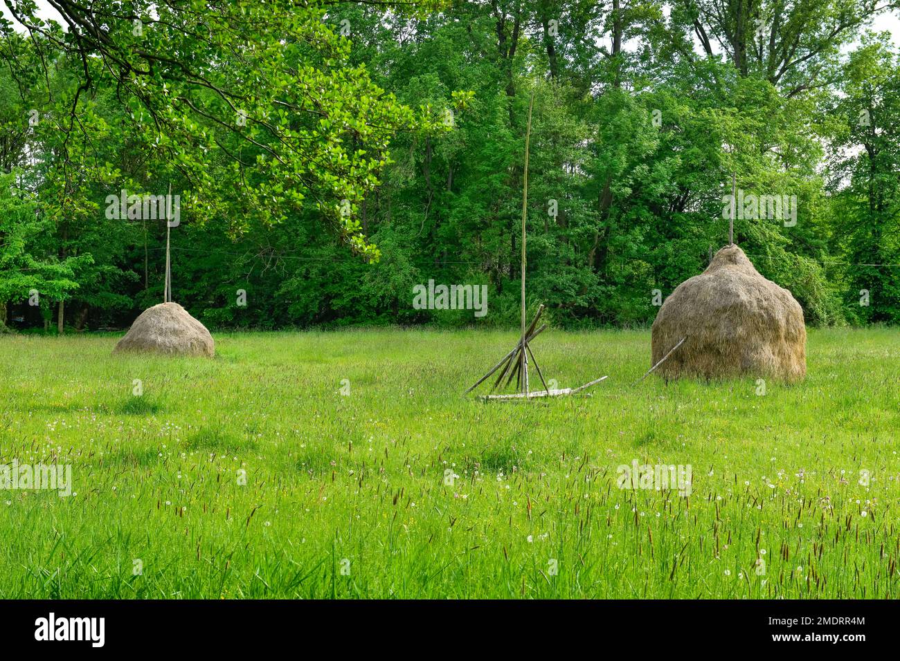 Hayloft, Luebbenau, Brandenburg, Germany Stock Photo - Alamy