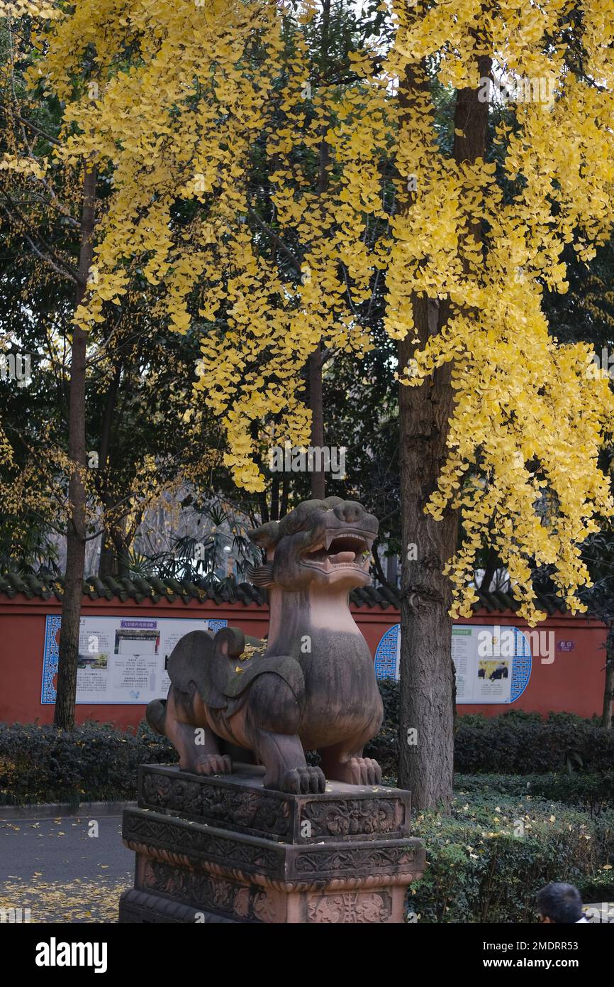 Guardian dog statue hi-res stock photography and images - Alamy