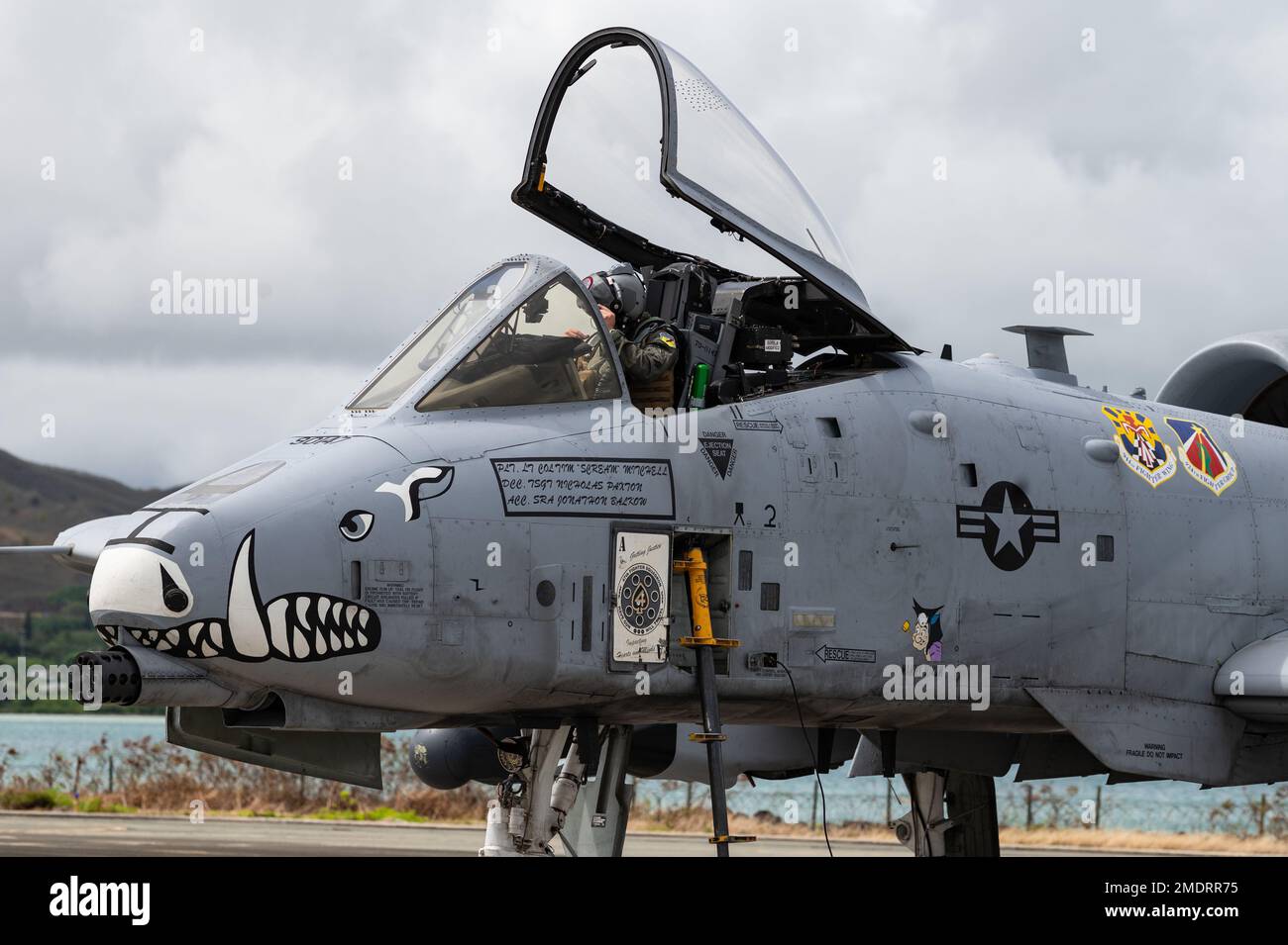 More than 200 Airmen and 10 A-10 Thunderbolt II Warthogs from the 924th ...