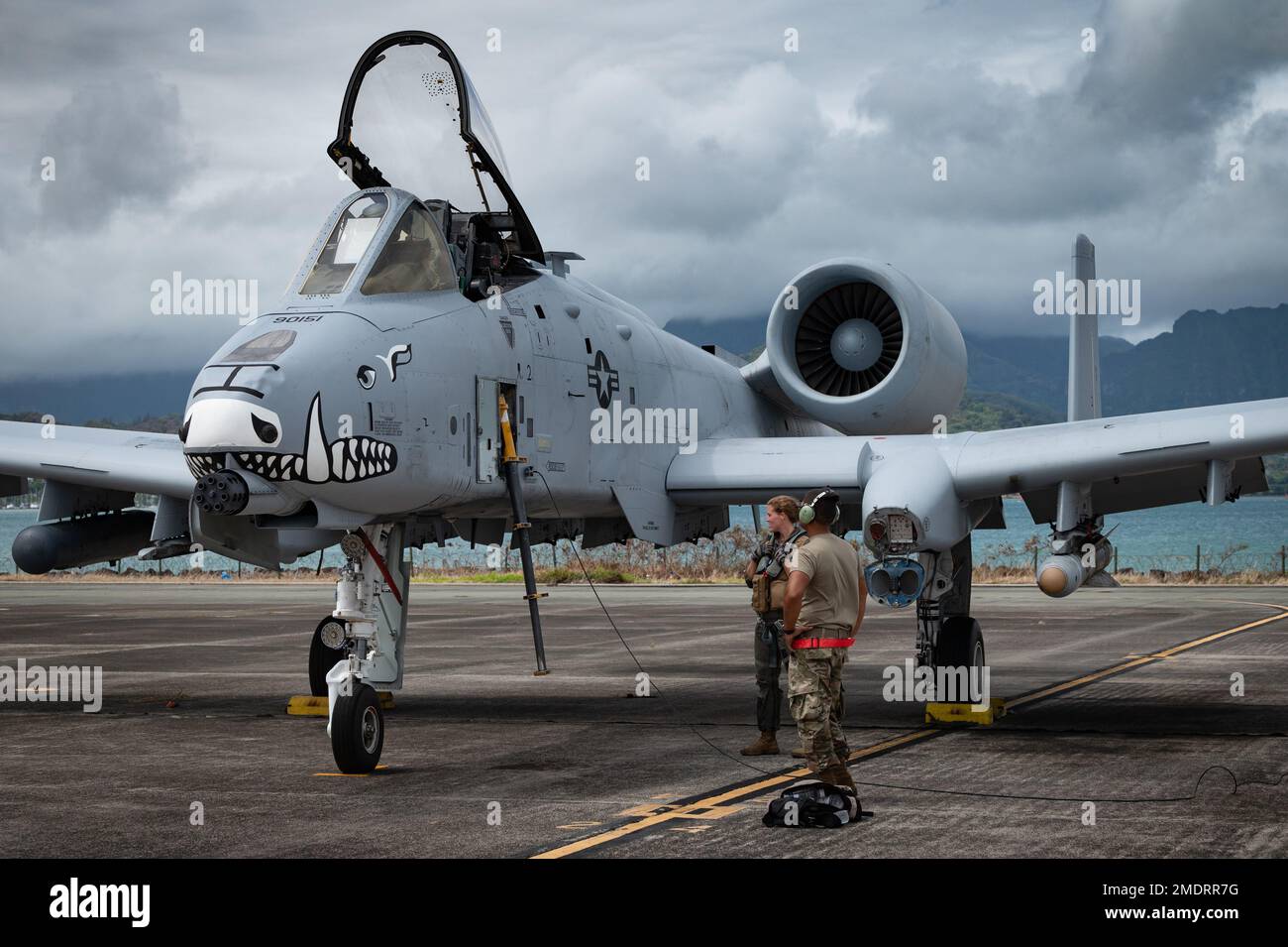 More than 200 Airmen and 10 A-10 Thunderbolt II Warthogs from the 924th ...