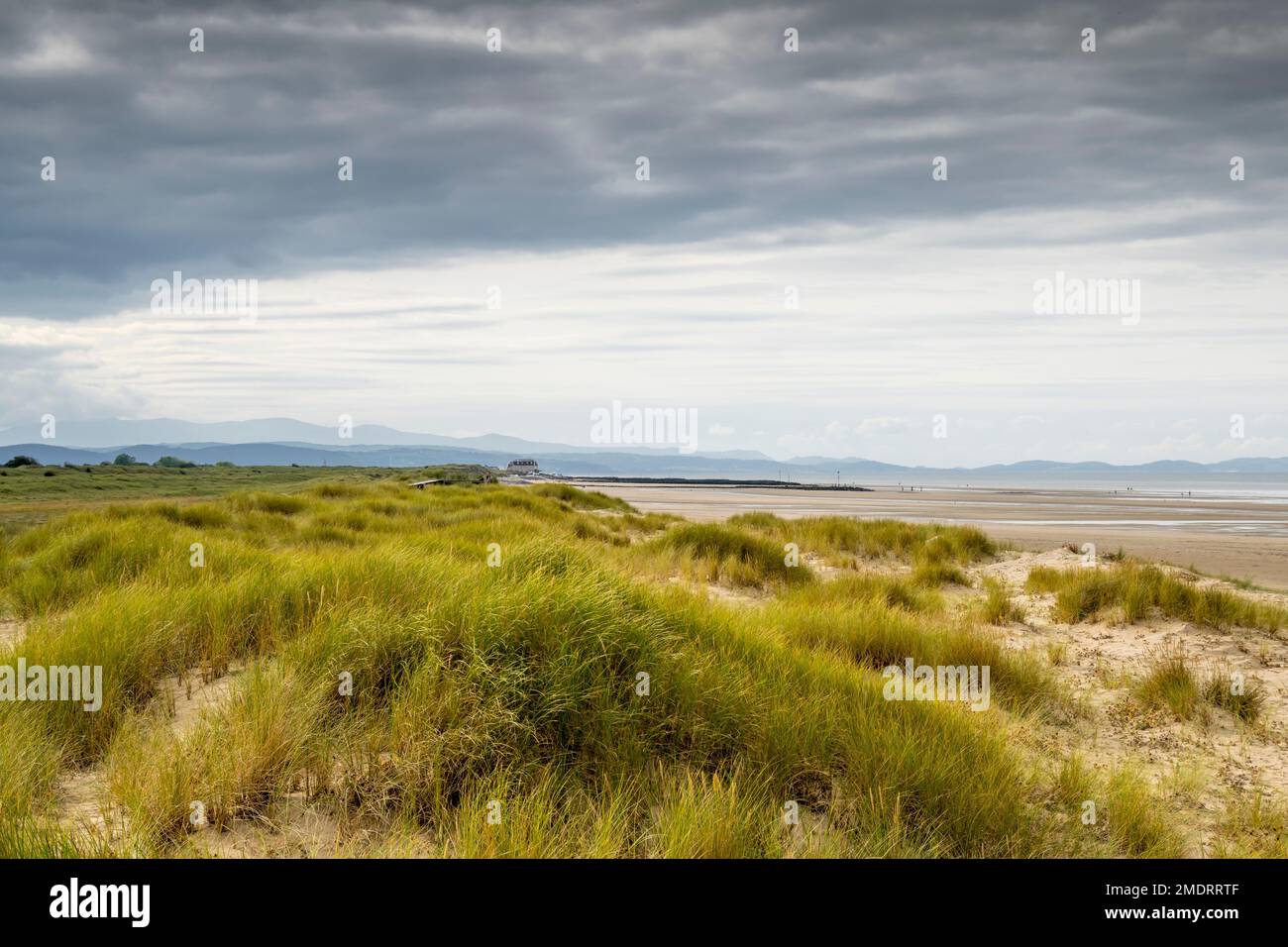 Gronant Nature reserve near Prestatyn on the North Wales coast Stock ...