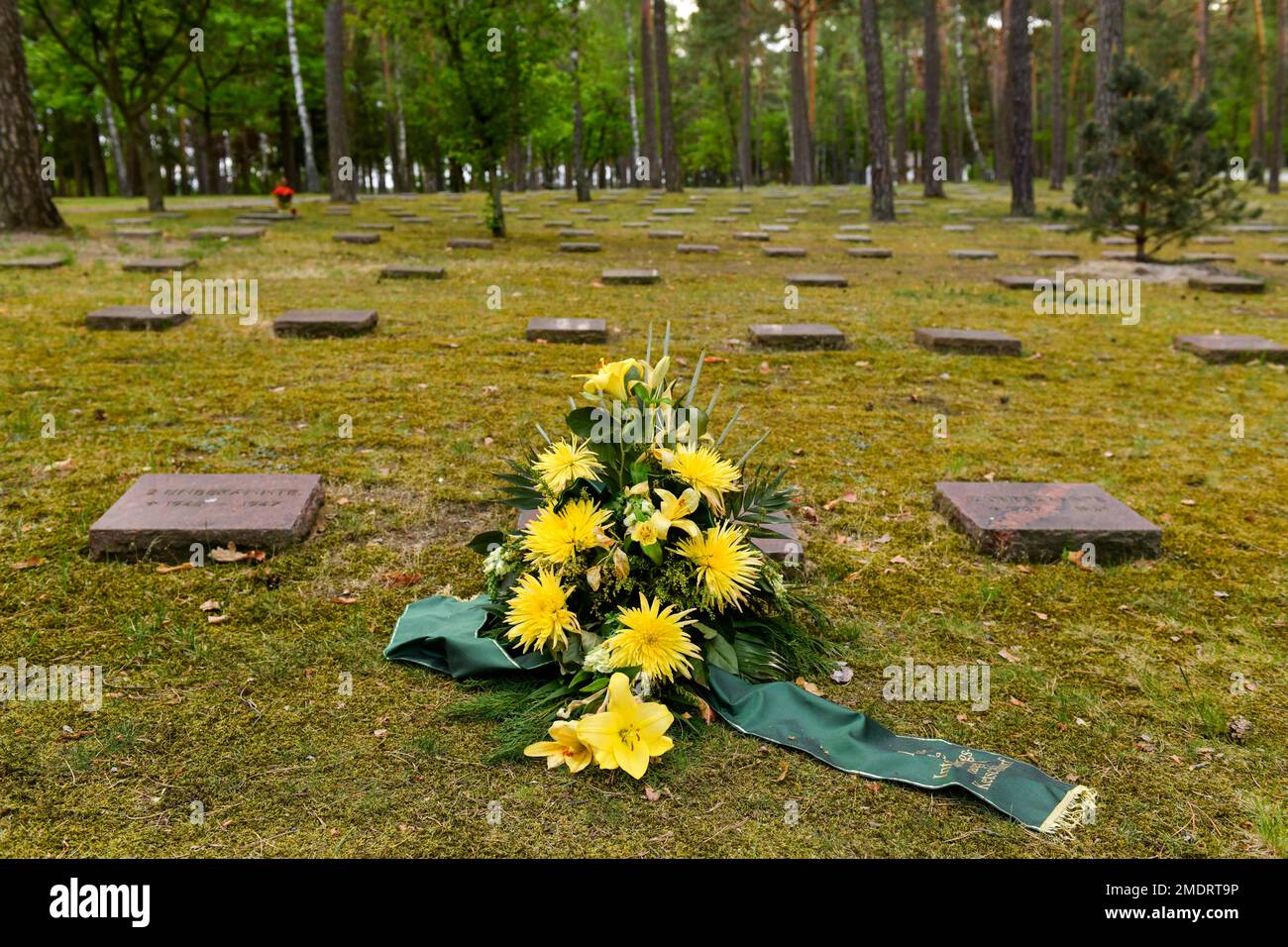 Graves, Memorial, Kesselschlacht bei Halbe, Brandenburg, Germany Stock ...