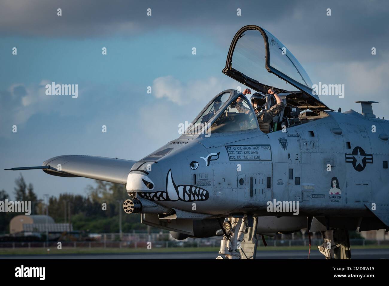 More than 200 Airmen and 10 A-10 Thunderbolt II Warthogs from the 924th ...