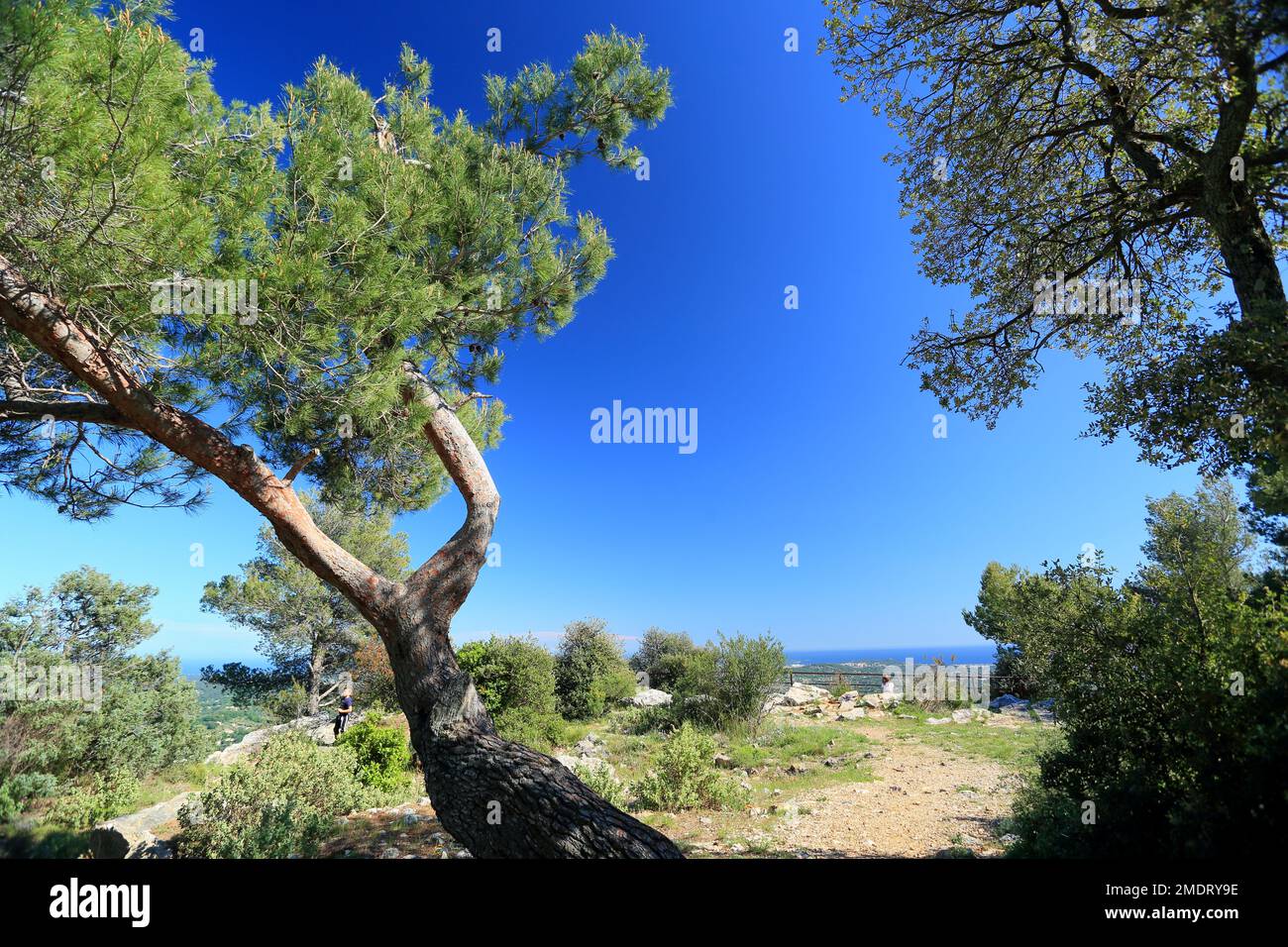 Grasse, Alpes Maritimes, Cote d'Azur, French Riviera Stock Photo - Alamy