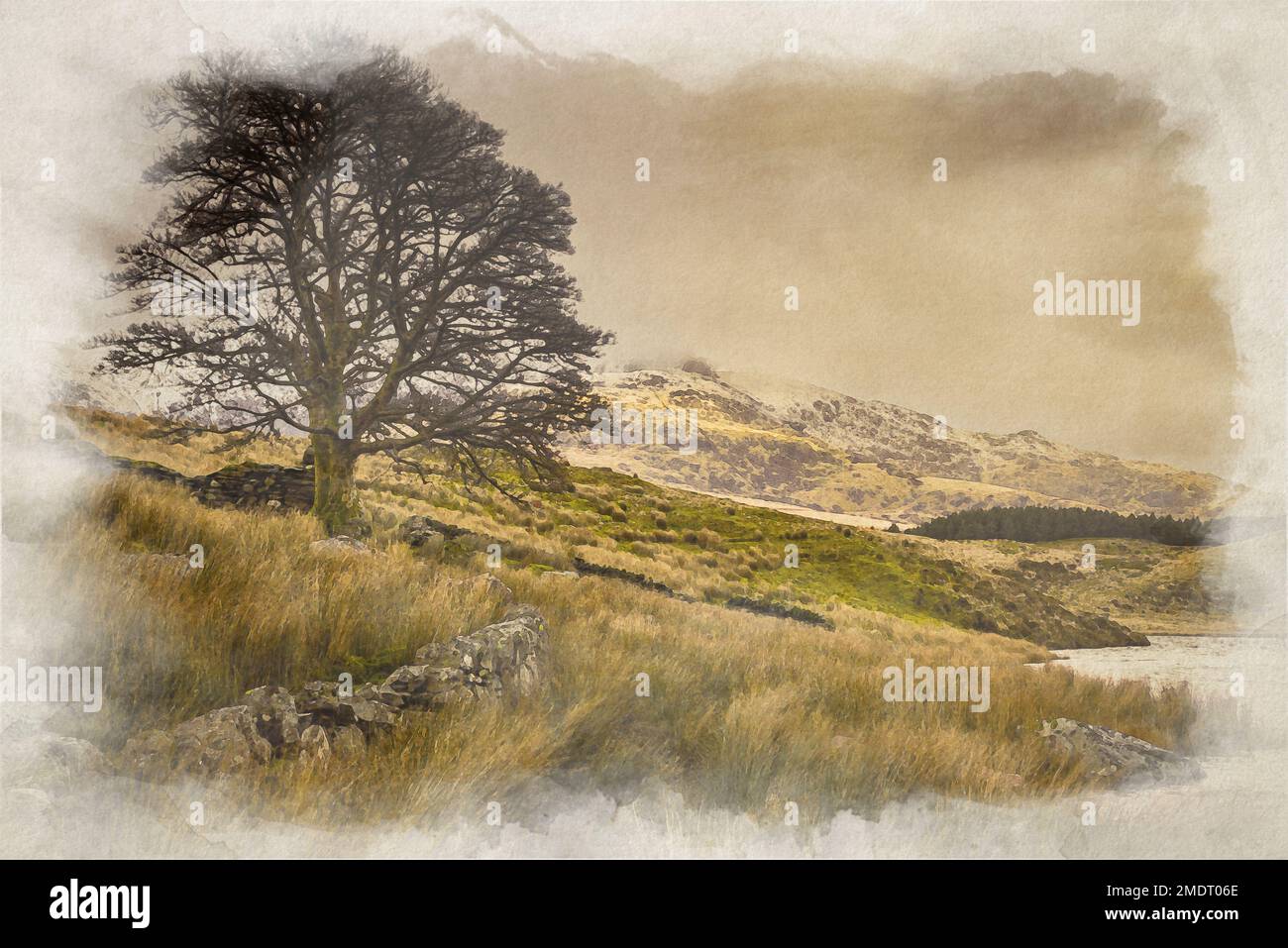 Digital watercolor painting of Llyn y Dywarchen, and Snowdon during ...