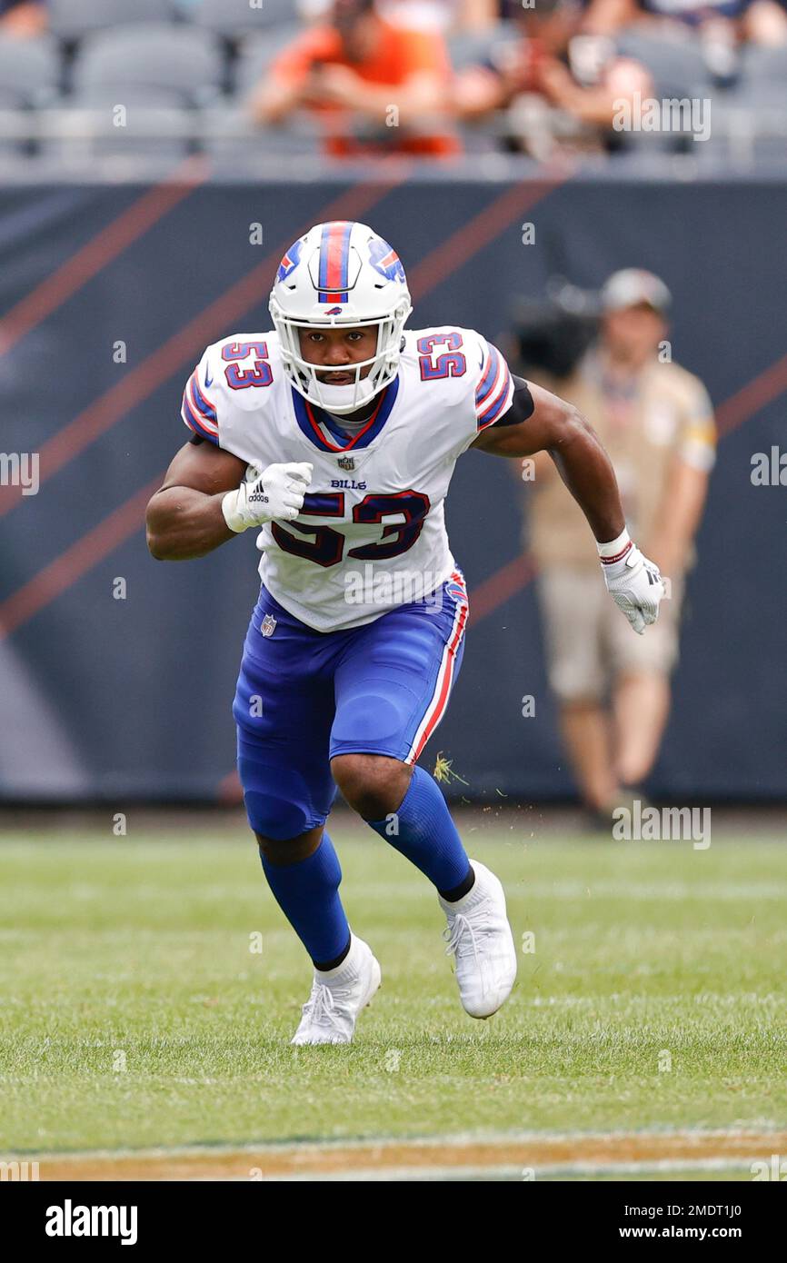 Buffalo Bills linebacker Tyrel Dodson in action against the Chicago ...