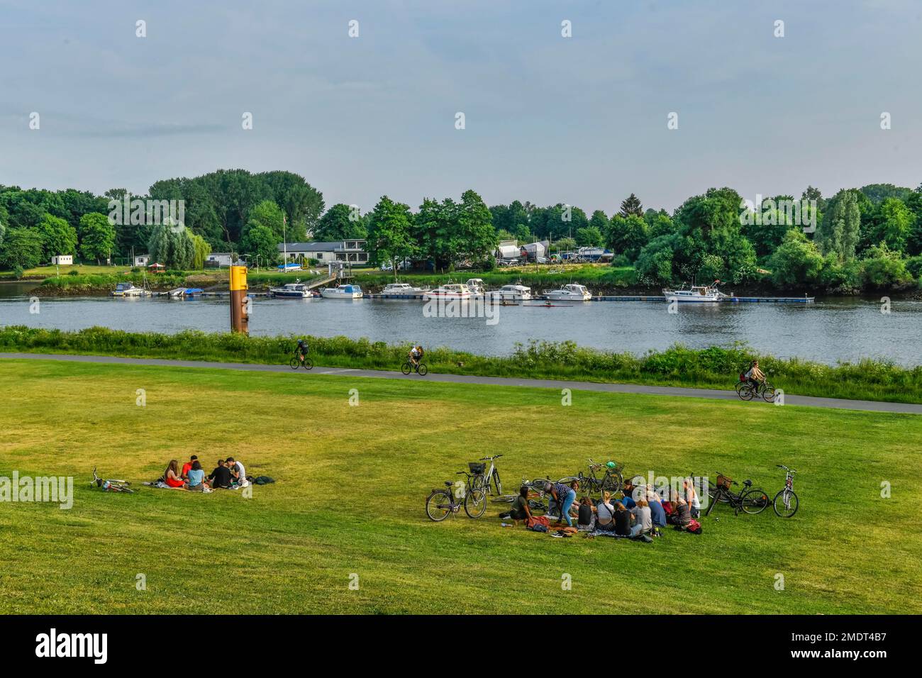 Weserwiesen, Punkendeich, Bremen, Germany Stock Photo - Alamy