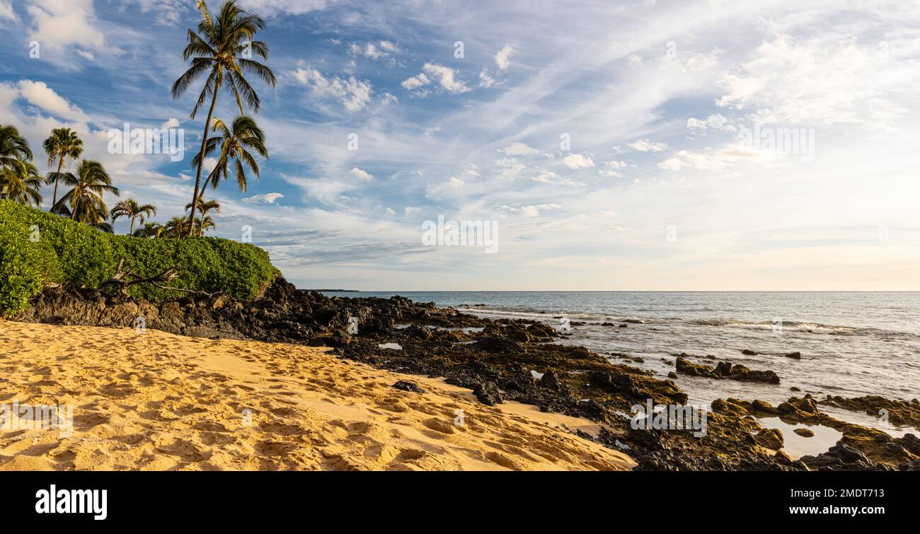 Palm Trees and Sand on Big Beach, Makena State Park, Maui, Hawaii, USA ...