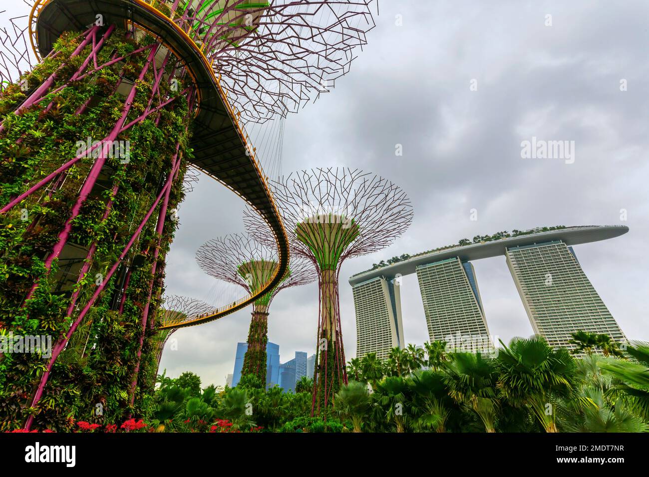 View of Supertrees in Marina Gardens Drive and Marina Bay Sands Hotel ...