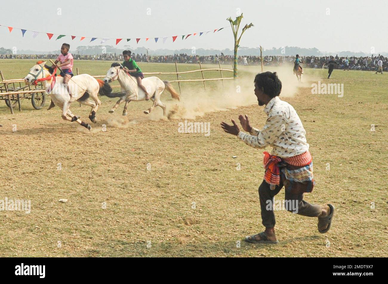 Rural horse race of bangladesh hi-res stock photography and images - Alamy