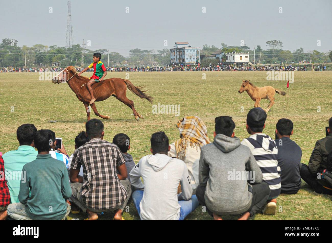 in Sylhet, Bangladesh. 23rd Jan, 2023. A traditional Horse Race of ...